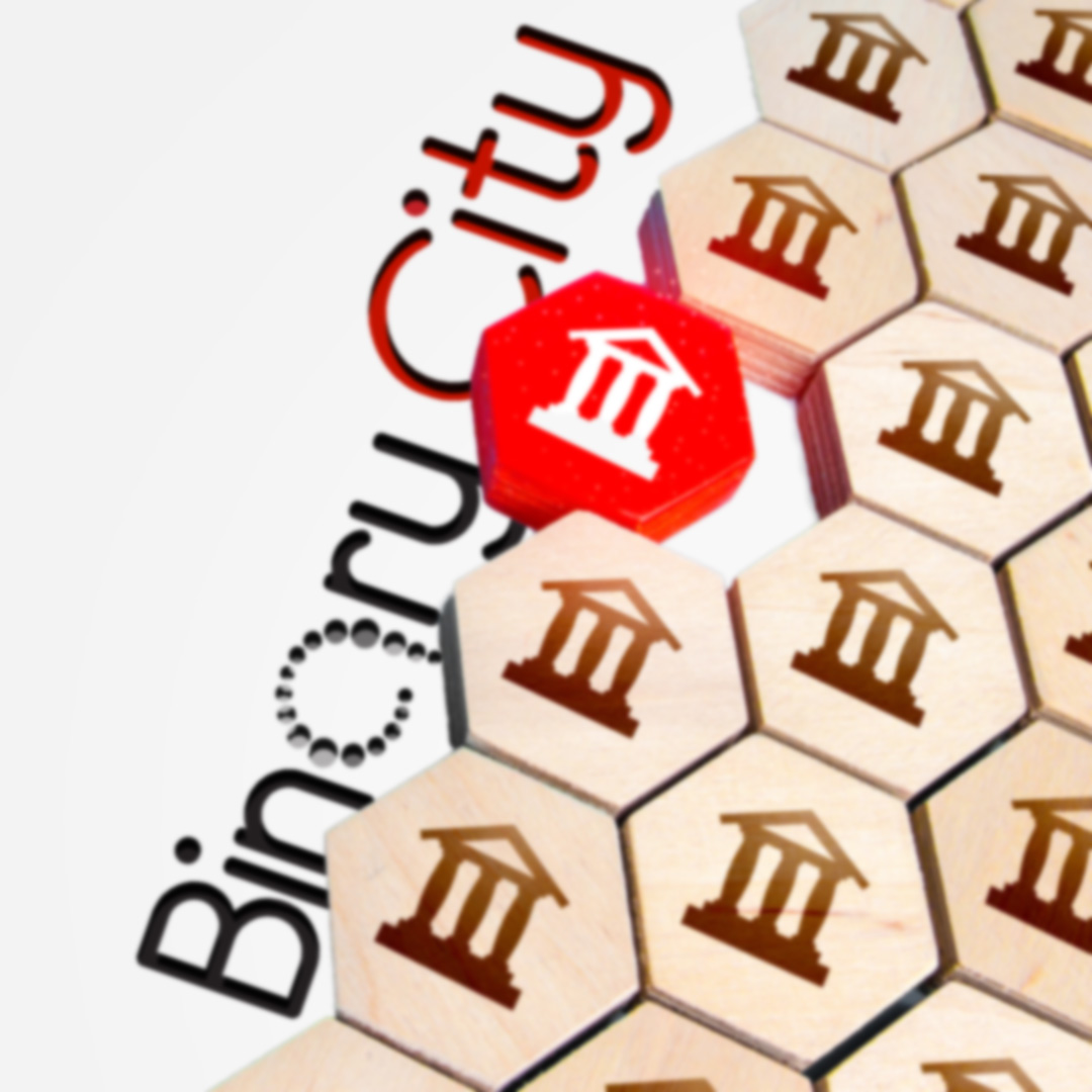 Binary City Company Profile and Records