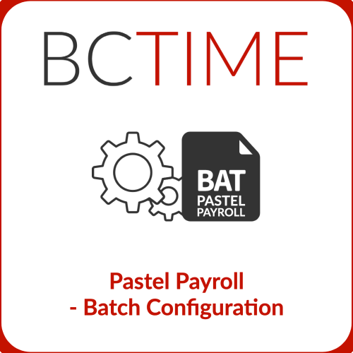 Pastel Payroll - Batch configuration | Welcome to Binary City